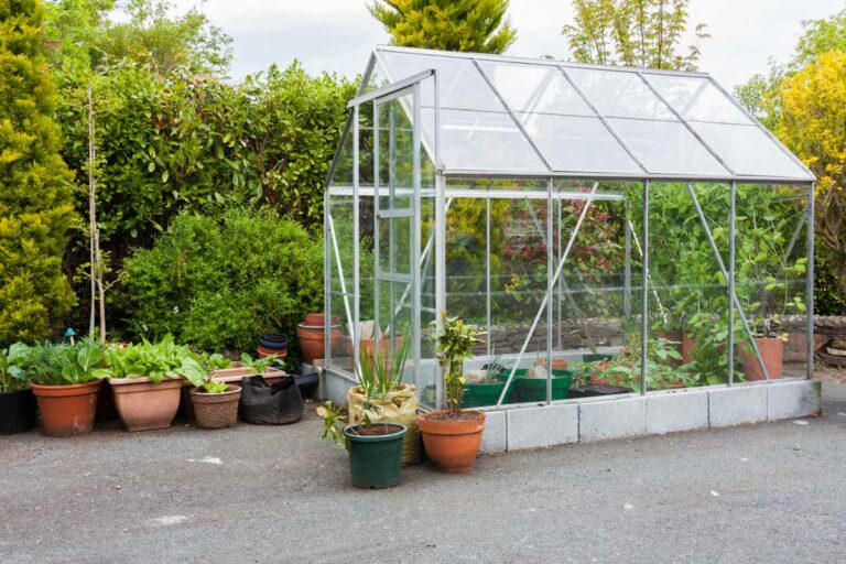 How To Choose and Prepare Your Greenhouse Base – Greenhouse-ing
