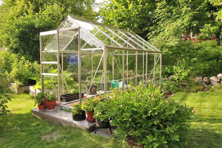 How To Choose and Prepare Your Greenhouse Base – Greenhouse-ing